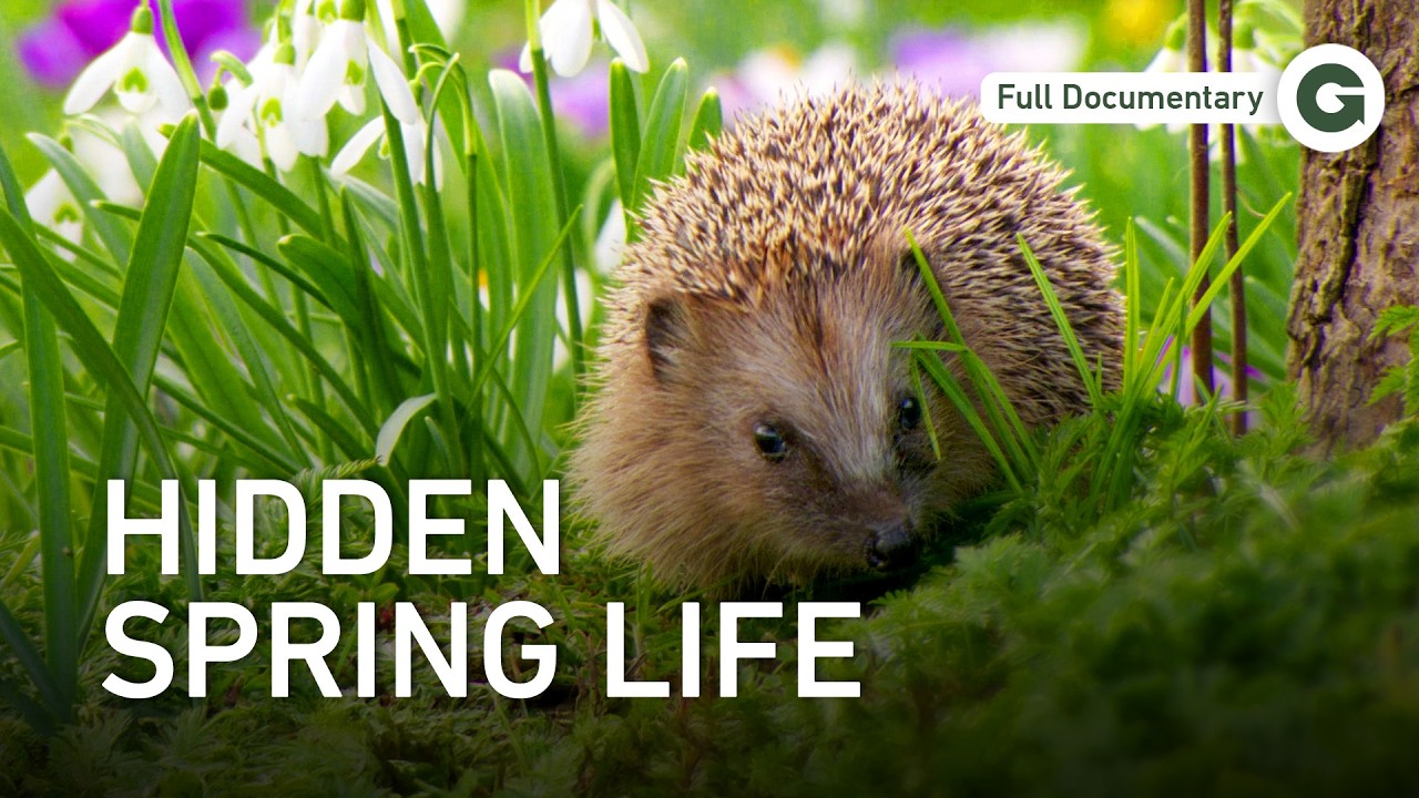 A Season Begins: Life Returns to the Garden | Full Documentary