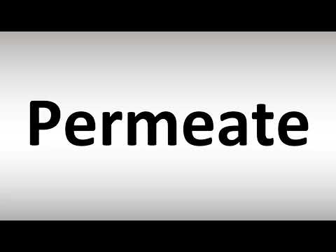How to Pronounce Permeate