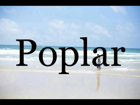How To Pronounce Poplar🌈🌈🌈🌈🌈🌈Pronunciation Of Poplar