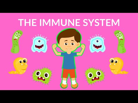 The Immune System Video | How to boost your Immunity | What is immune system and its function?