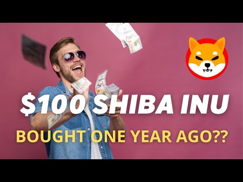 $100 of SHIBA INU Bought One Year Ago - How Much is it Worth Now?