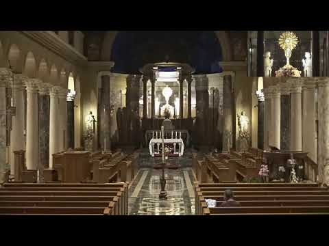 Kolbe Shrine Live Stream