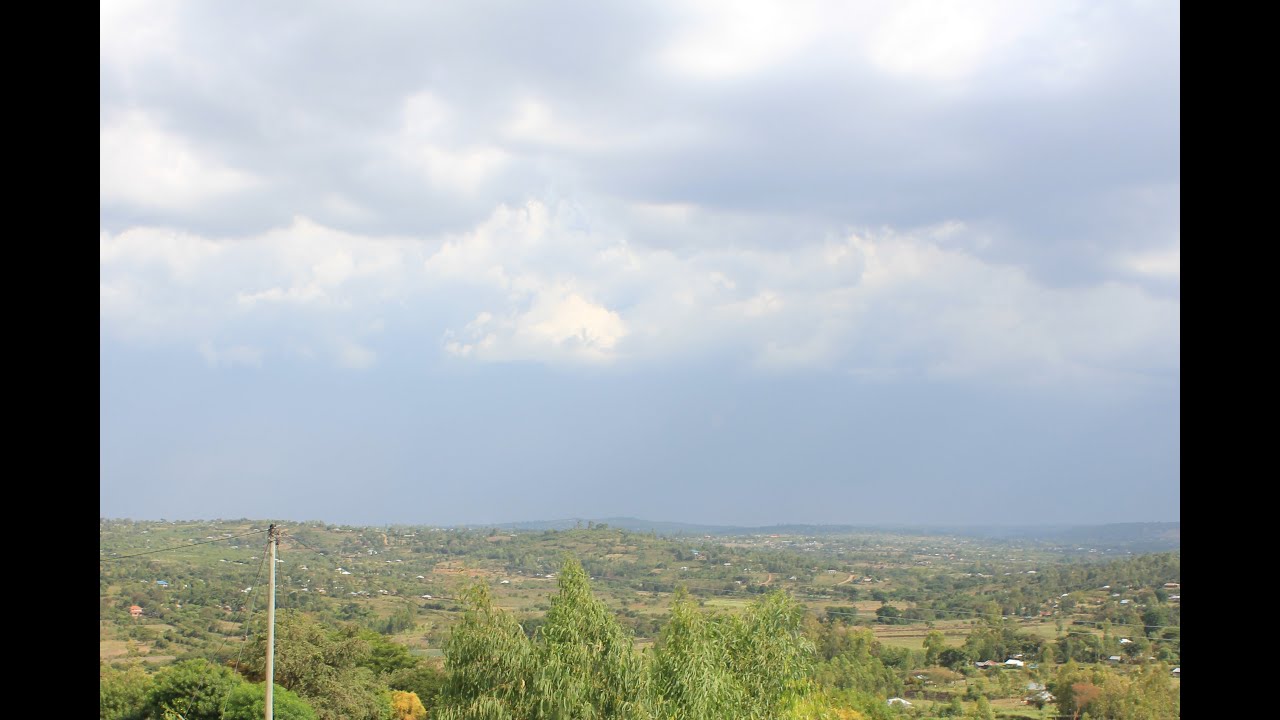 Interdependence Of Plants and Animals - Ecosystem