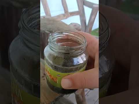 Performing EC Test on Soil