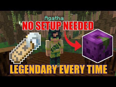 FREE HOTF XP! Get LEGENDARY Agatha's Contest With NO SETUP! (Hypixel Skyblock Foraging Update Guide)