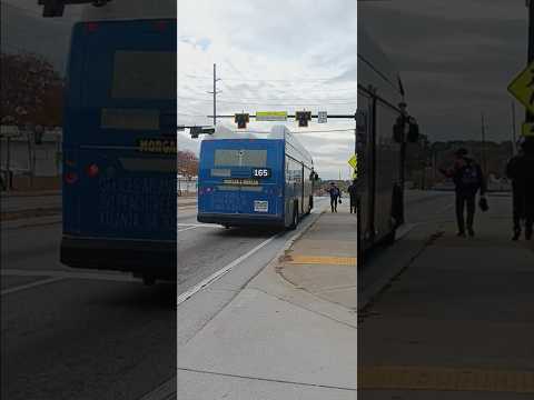 #7003 marta bus route 165