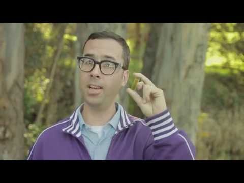 Introduction to Algae Beads, Photosynthesis and Cellular Respiration