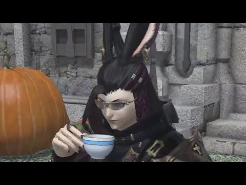 Gold Saucer Emotes where to get them and what they look like - FFXIV