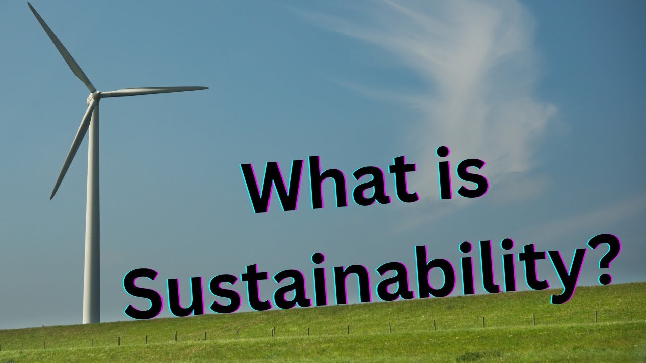 What is Sustainability and Why is it Important?