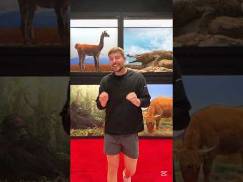 Spot The Fake Animal For, $10,000