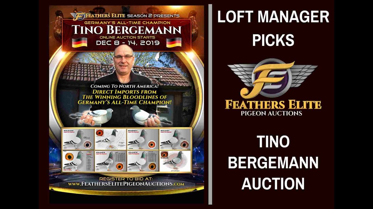 LOFT MANAGER PICKS BERGEMANN AUCTION