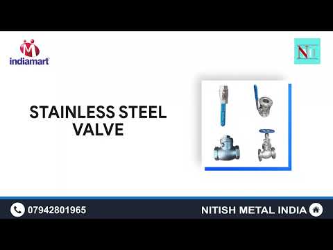 SS Non Return Valve - SS NRV Valve Latest Price, Manufacturers & Suppliers