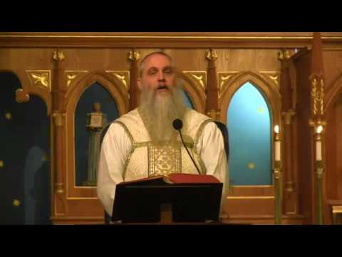 Dec 08 - Homily: The Positive Meaning of the Immaculate Conception