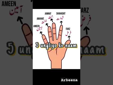 Islamic names of fingers
