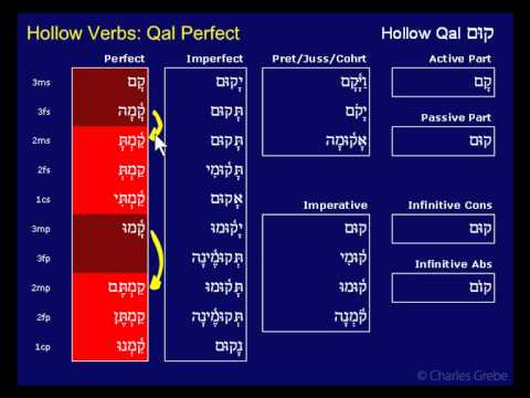 38.03 Hollow Verbs Qal Perfect