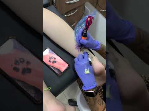 Watch the Dog's Owner Get Tattoo with His Dog's Paw Print Design