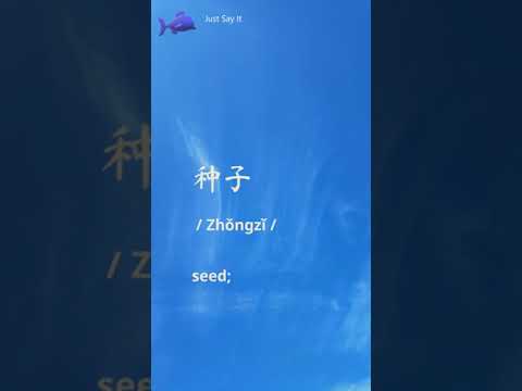 How to Say Seed in Chinese Word 种子