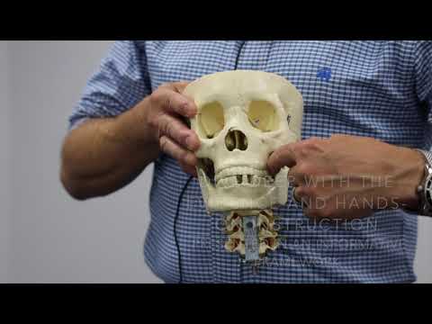 Foundations in Manual Therapy: Voice and Swallowing Disorders Hands-On Online Course