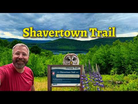 Hiking: The Shavertown Trail, an Easy Catskills Hike to Epic Views near ...