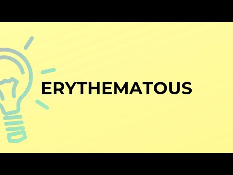 What is the meaning of the word ERYTHEMATOUS?