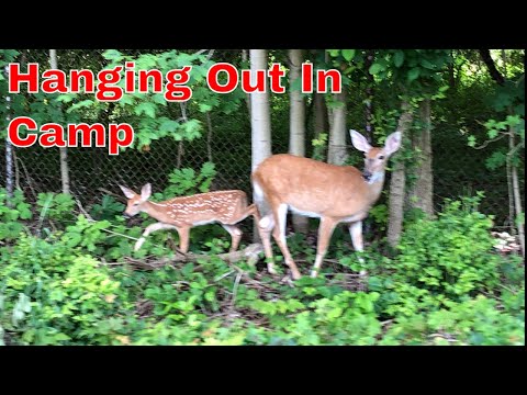 John Bryan State Park - Camp Tour & Raid Night - Ep.3