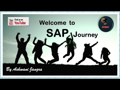 What is SAP & ERP. SAP tutorial for beginners ( English Version ) - Initial Part 1.