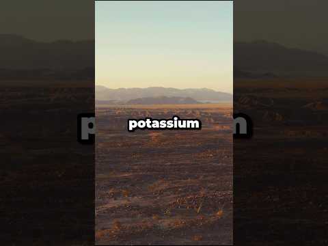Potassium Power: Ancient Minerals Fuel Modern Gardens #shorts