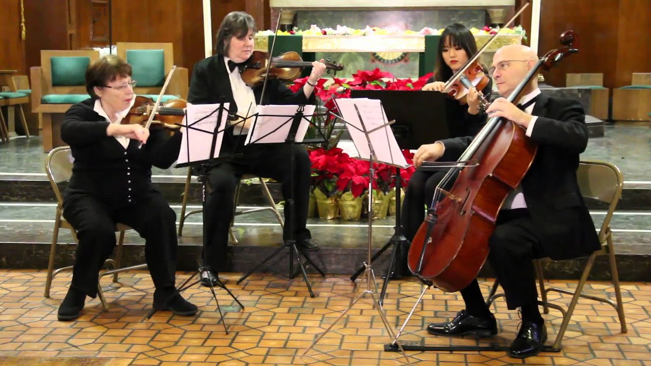 Hire Marie Stack/ M.A.S. Music - Violinist in your area, | GigSalad