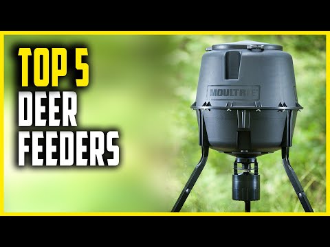 Best Deer Feeders 2024 | Top 5 Best Deer Feeders for Hunting