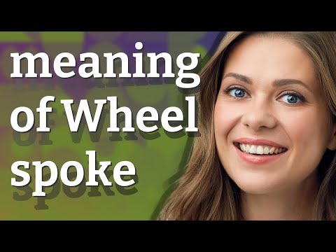 Wheel spoke | meaning of Wheel spoke
