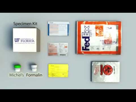 UF Health Pathology Laboratories Renal Specimen Collection and Handling Tutorial