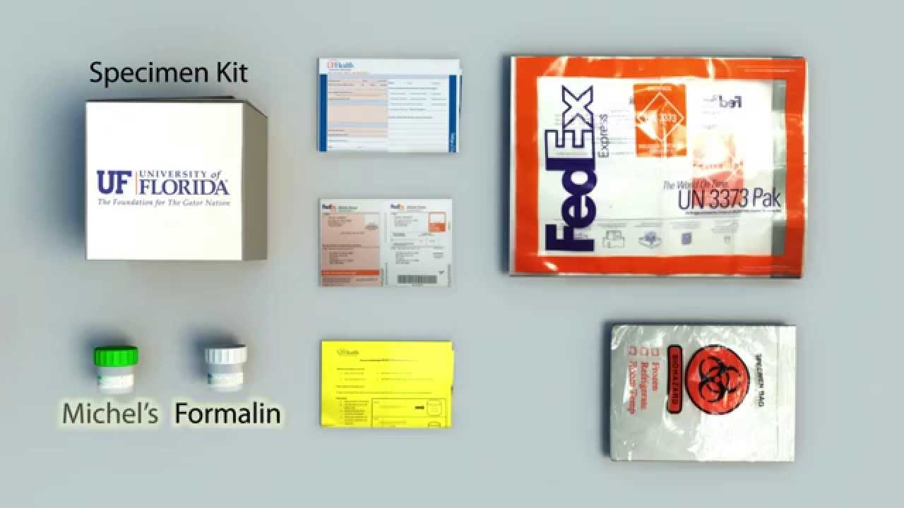 UF Health Pathology Laboratories Renal Specimen Collection and Handling Tutorial