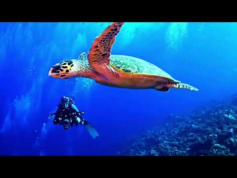Eastern Iowa Airport – CID “The Wonder of Travel” TV Commercial