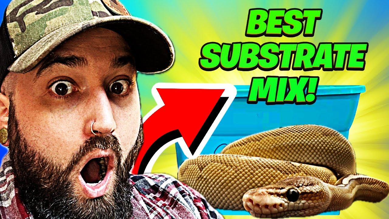 The BEST Substrate Mix for Ball Pythons & Boas! | The Ultimate Substrate!