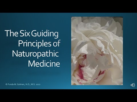 The Six Guiding Principles of Naturopathic Medicine