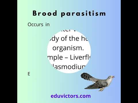 Biology Quiz 28: What is parasitism? #biology #biologyclass #biologyexam