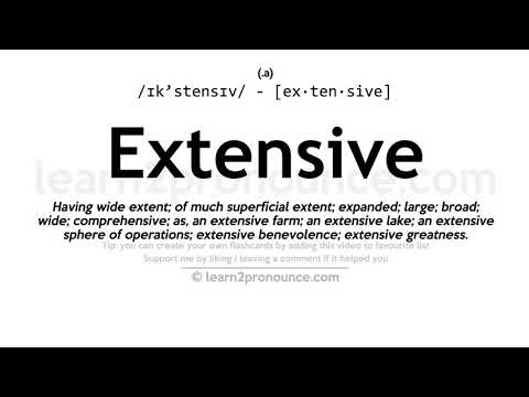 Pronunciation of Extensive | Definition of Extensive