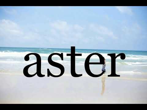 How To Pronounce aster🌈🌈🌈🌈🌈🌈Pronunciation Of aster
