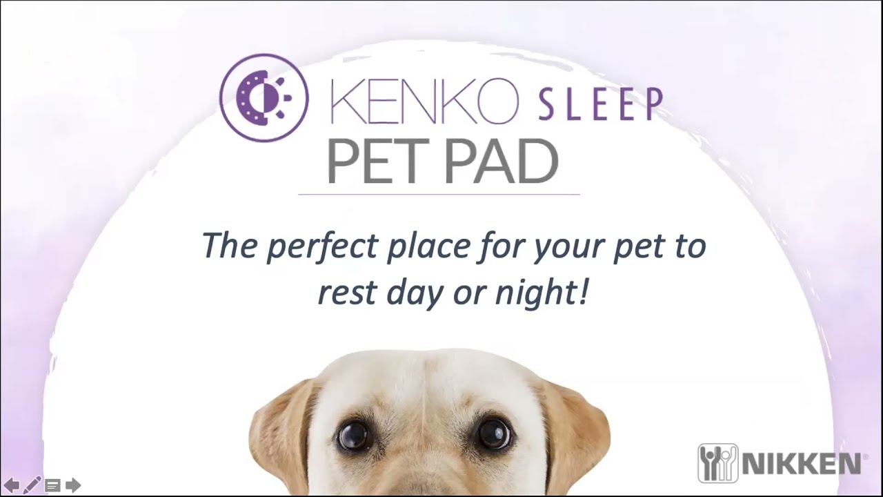 KENKO SLEEP PET PAD | DAVE BALZER | KICK-OFF | SEPT 2021
