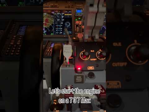 Boeing 737 MAX Engine Start (CFM LEAP-1B)