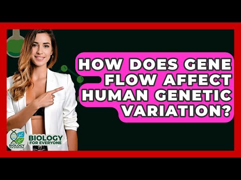 How Does Gene Flow Affect Human Genetic Variation? - Biology For Everyone