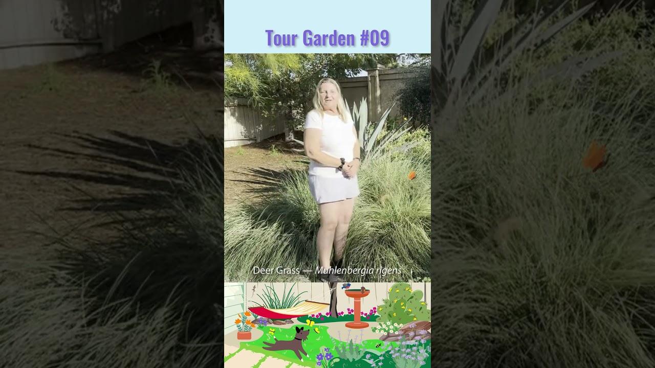 2026 Native Garden Tour Preview - Garden #09