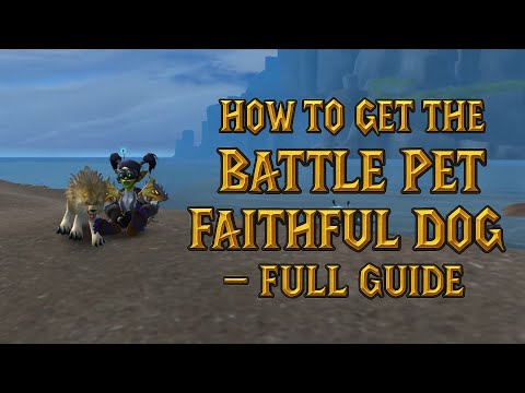 How to Get the Battle Pet Faithful Dog – Full Guide