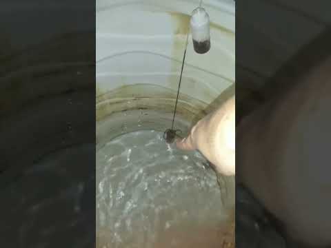 CARA KERJA OTOMATIS TANDON AIR 2 PELAMPUNG #tutorial #shorts #manfaattutorial