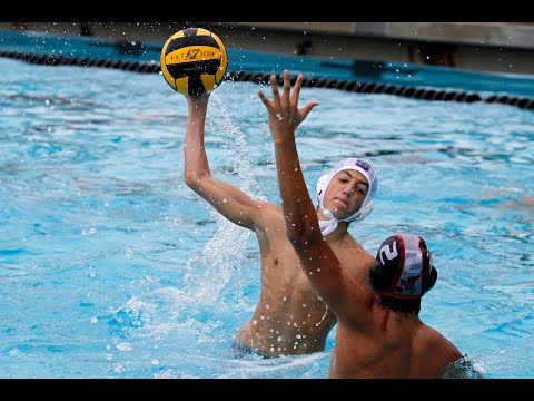 Jack Sandler Sophomore Year Highlights