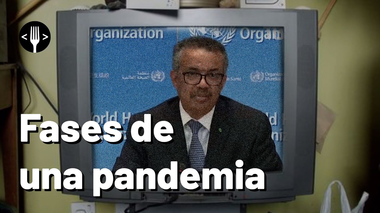 Las fases de una pandemia según la OMS
