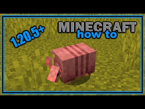 Everything You Need to Know About the Armadillo | Easy Minecraft Mob Guide