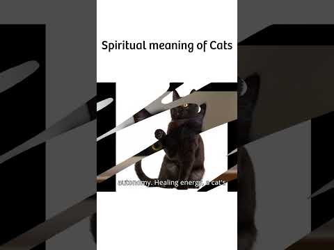 Spirit meaning of cats- #viral2025- #trendingnow- #youtubeviral- #explorepage- #newvideoalert-
