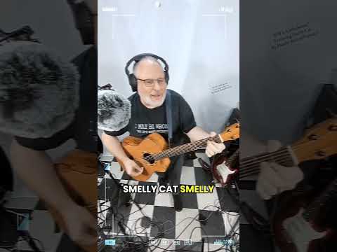 Will it coffeehouse? Featuring Smelly Cat (Phoebe Buffay from Friends)