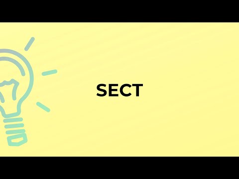 What is the meaning of the word SECT?